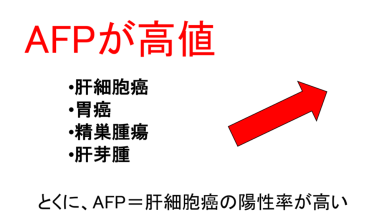 腫瘍マーカーのAFPとは？基準値や考えられる病名は？